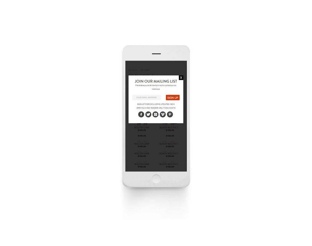 Magento responsive newsletter popup | Newsletter for Magento